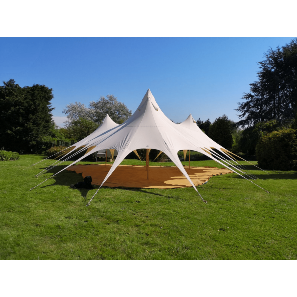 Lotus Mahal - Lotus Belle tent - glamping tenten